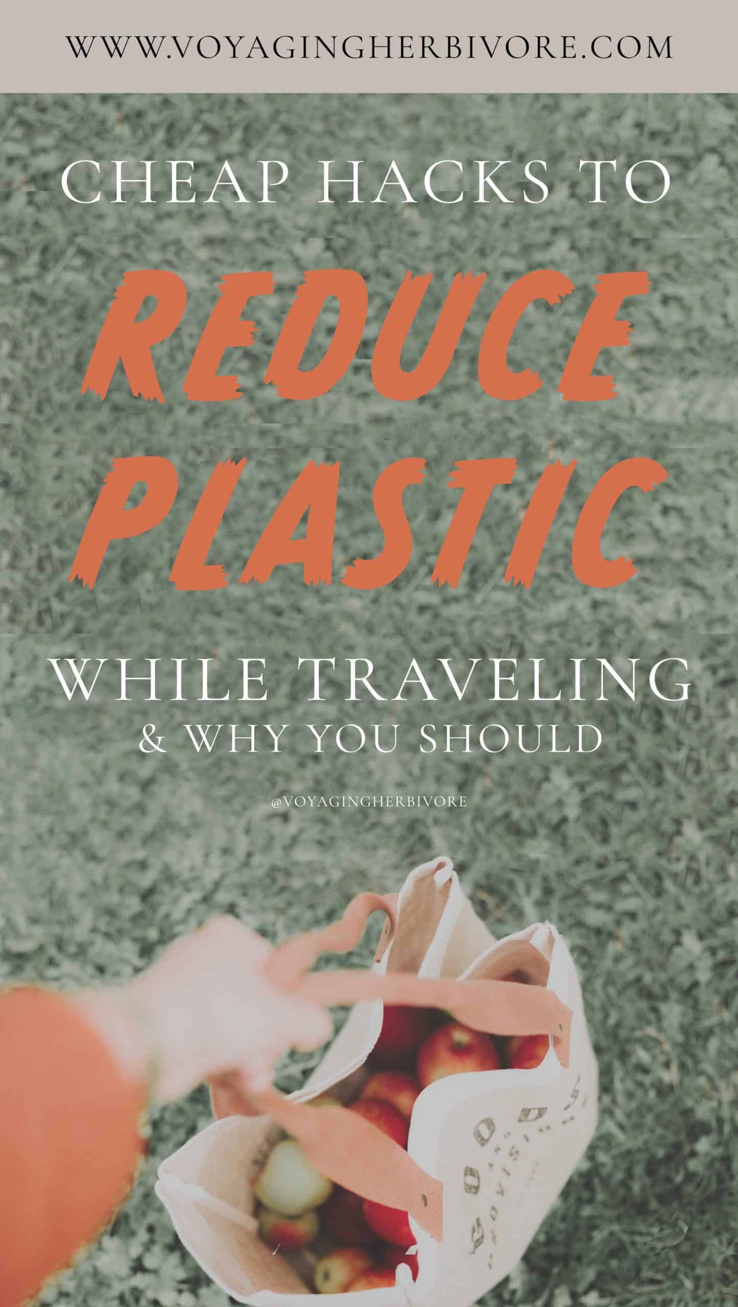 10 Cheap & Easy Ways to Reduce the Use of Plastic - Voyaging Herbivore