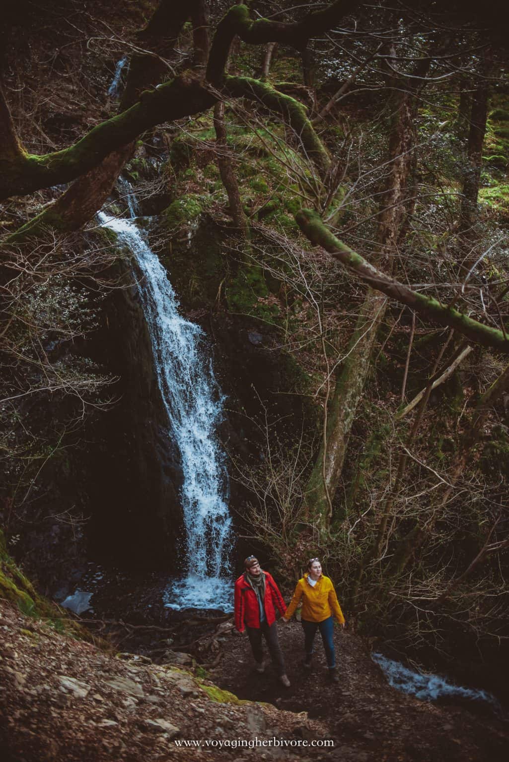 10 Easy Lake District Walks You NEED to Try - Voyaging Herbivore