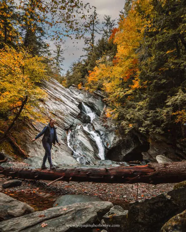Hamilton Falls, Vermont: Read This BEFORE You Go - Voyaging Herbivore