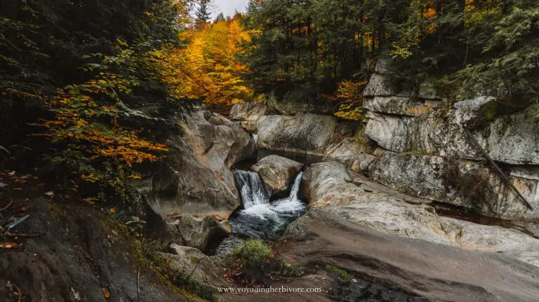 Warren Falls, VT: Do NOT Go Until You Read This- Voyaging Herbivore
