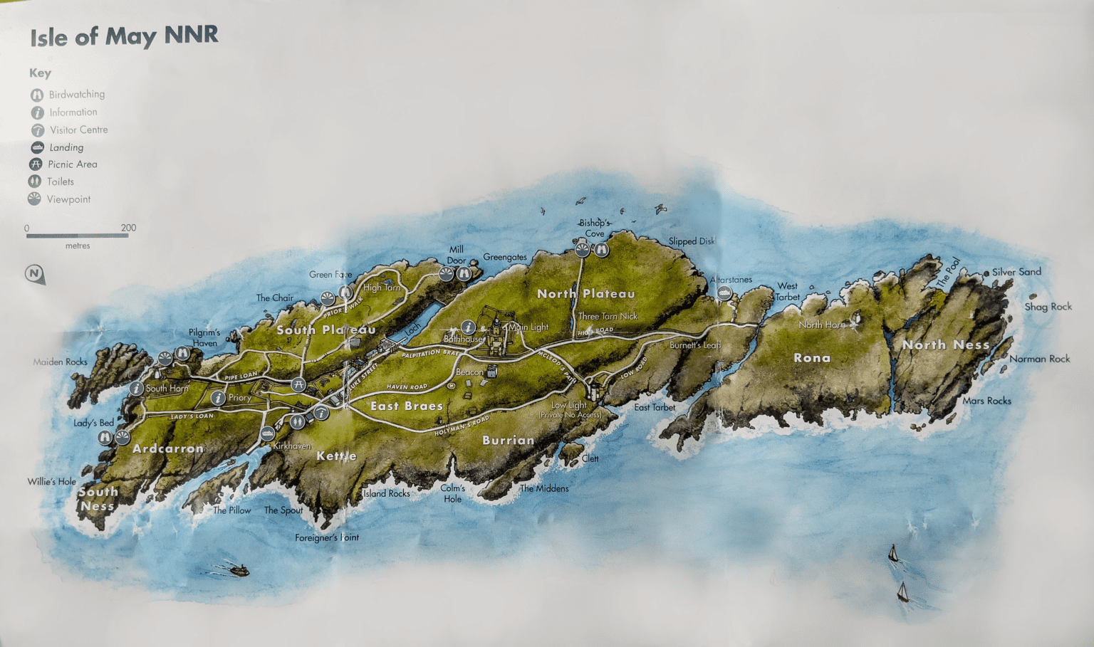 Isle of May Boat Trip: Read This BEFORE Seeing the Puffins