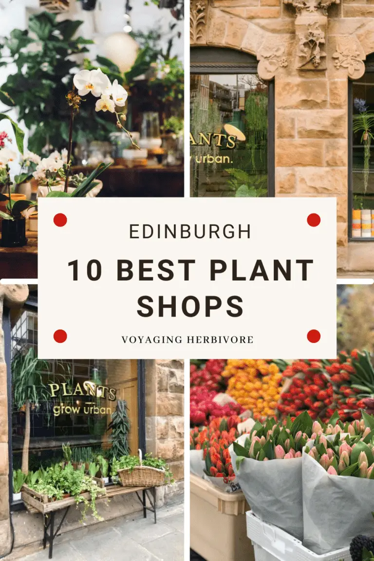 10 INCREDIBLE Plant Shops in Edinburgh - Voyaging Herbivore