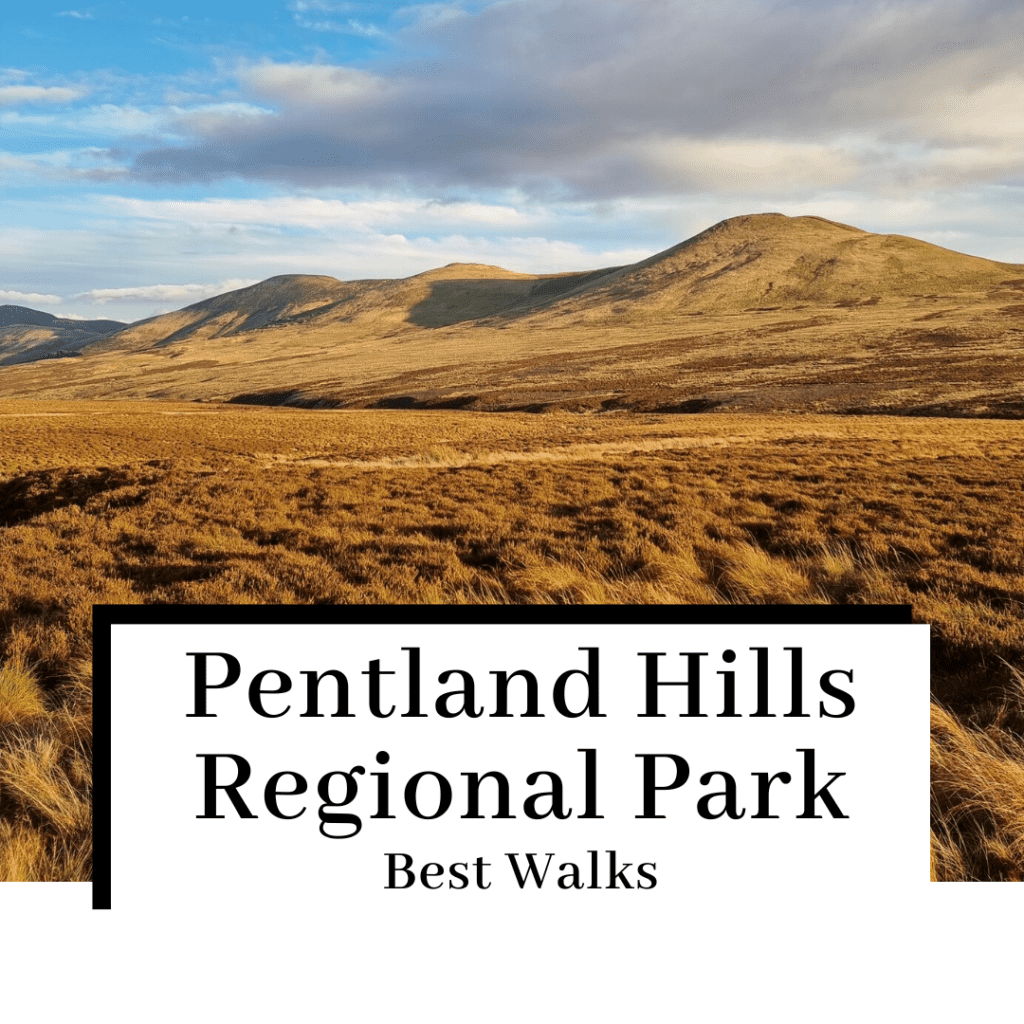 10 Walks in the Pentlands You Can Try This Weekend - Voyaging Herbivore