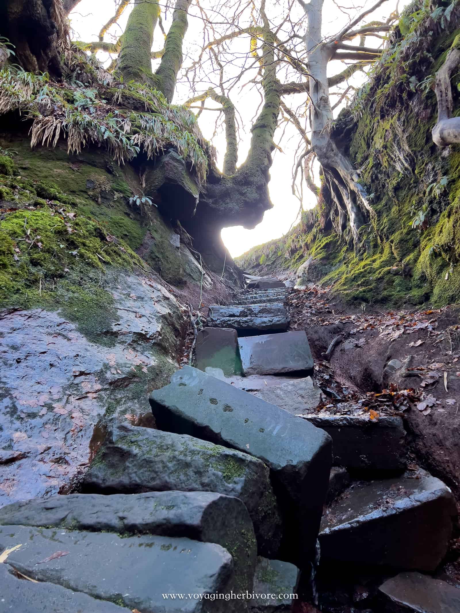 The Devil’s Pulpit Scotland: Directions & Warnings - Voyaging Herbivore